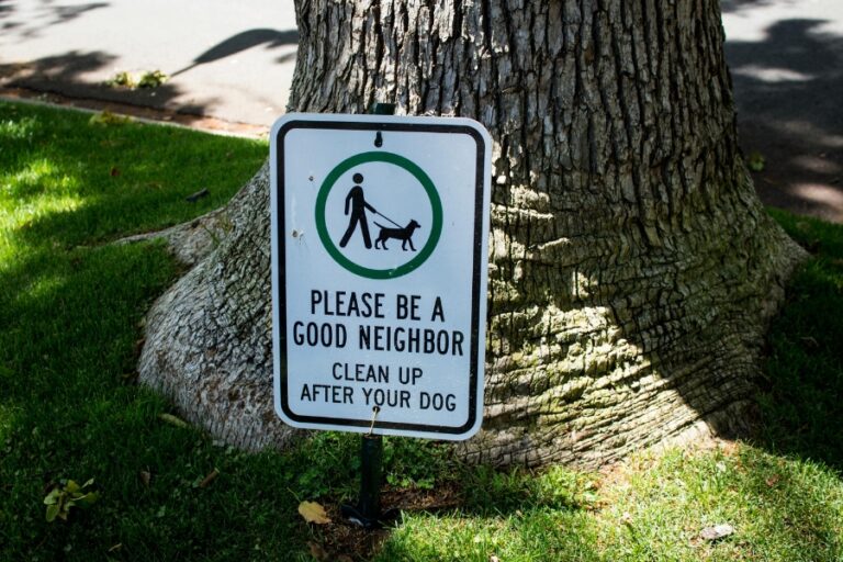 New Research Links Dog Waste to Bacterial Pollution in Cities