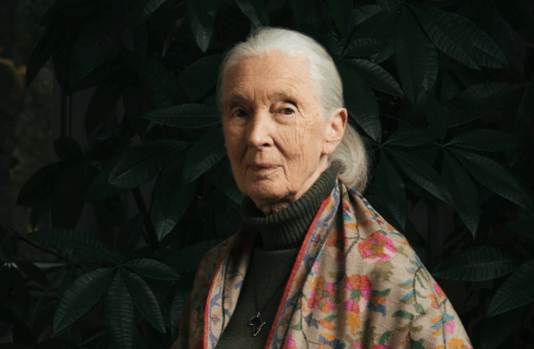 Jane Goodall: The Scientist Who Changed Humanity | DCReport